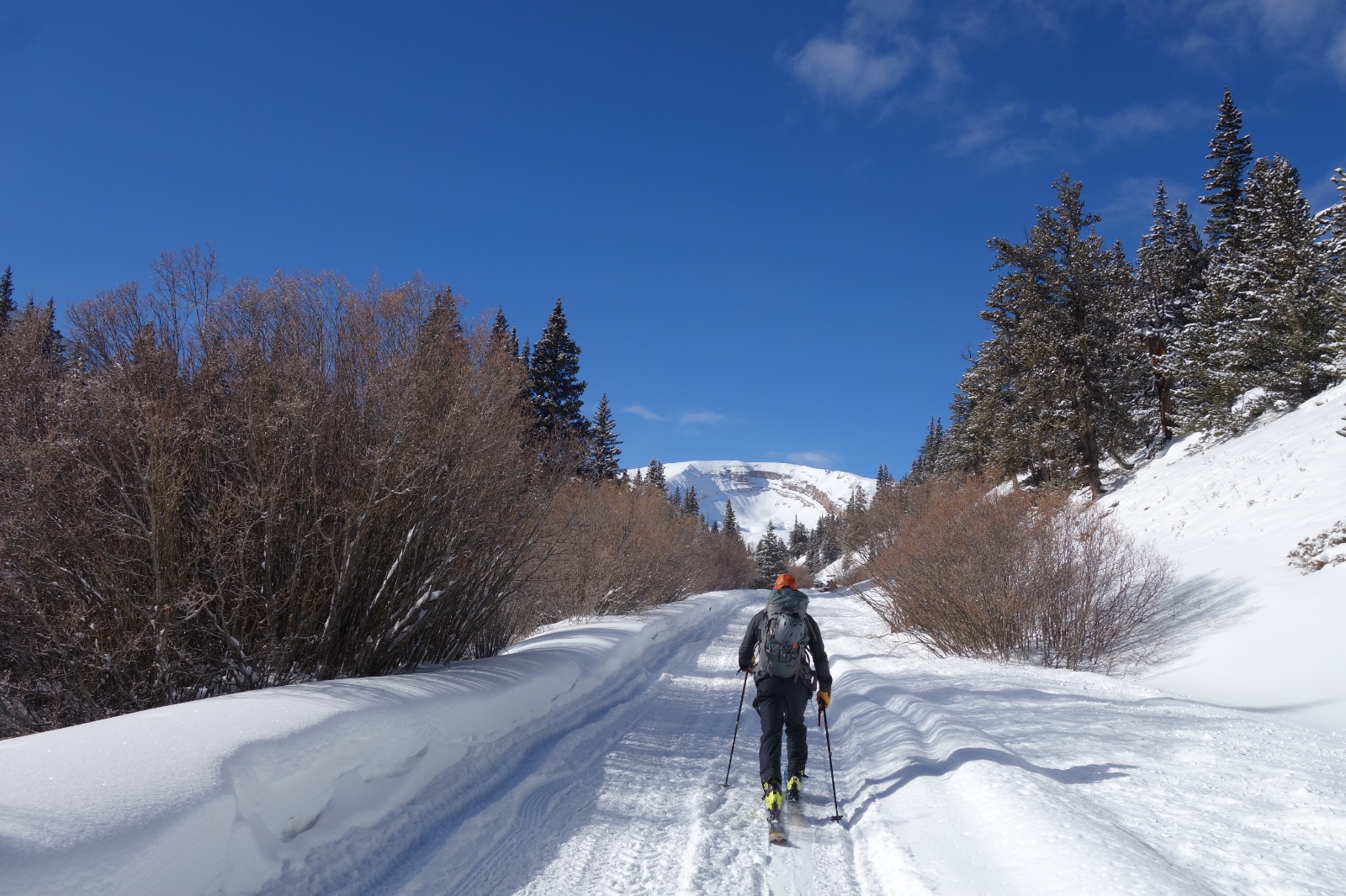 Mount Sherman Ski
