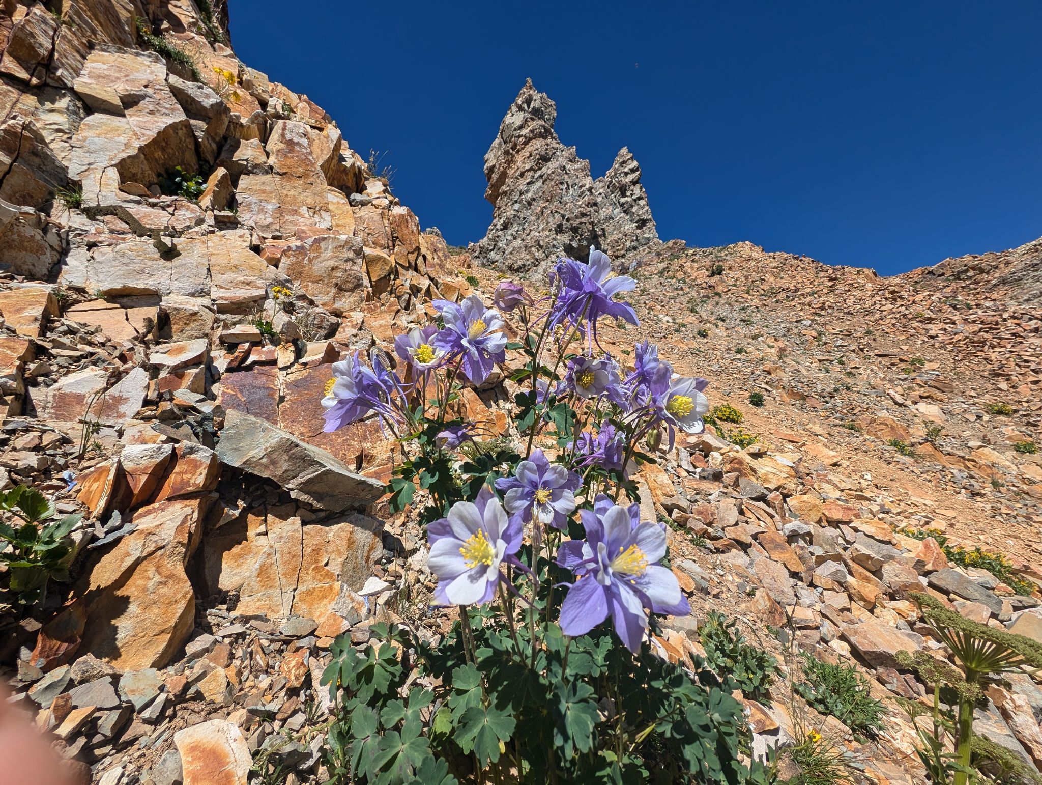 Babcock Peak - Spiller Peak