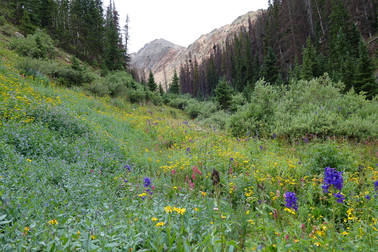 Redcloud Peak San Juan Range Mountaineering