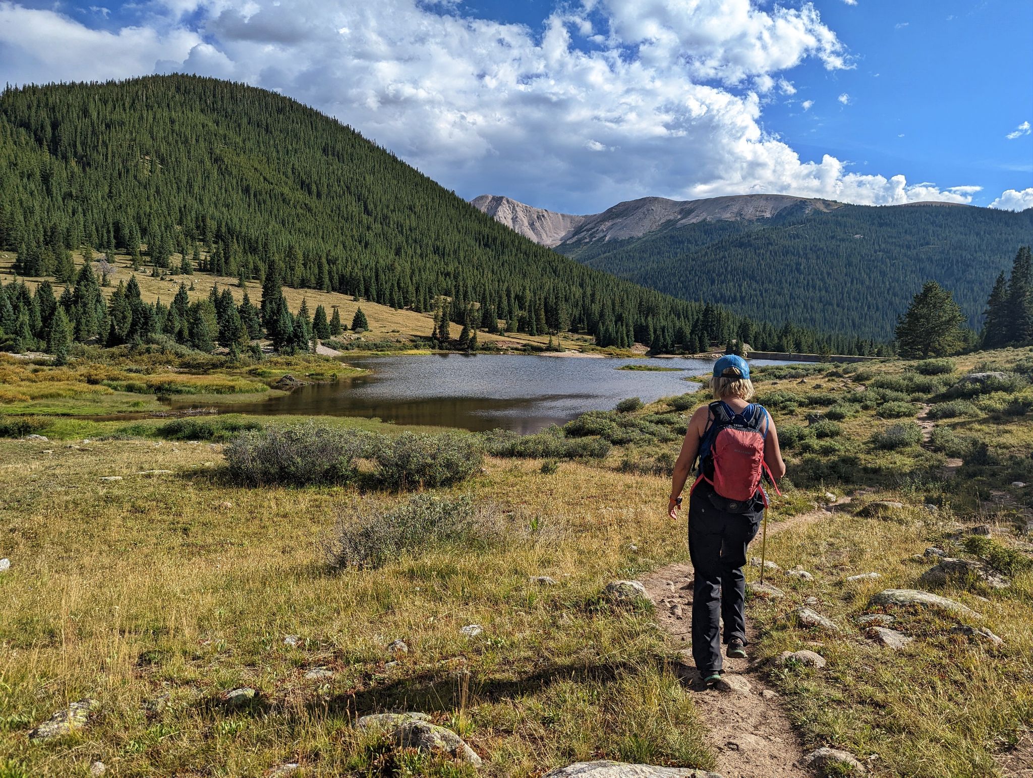 Williams Traverse