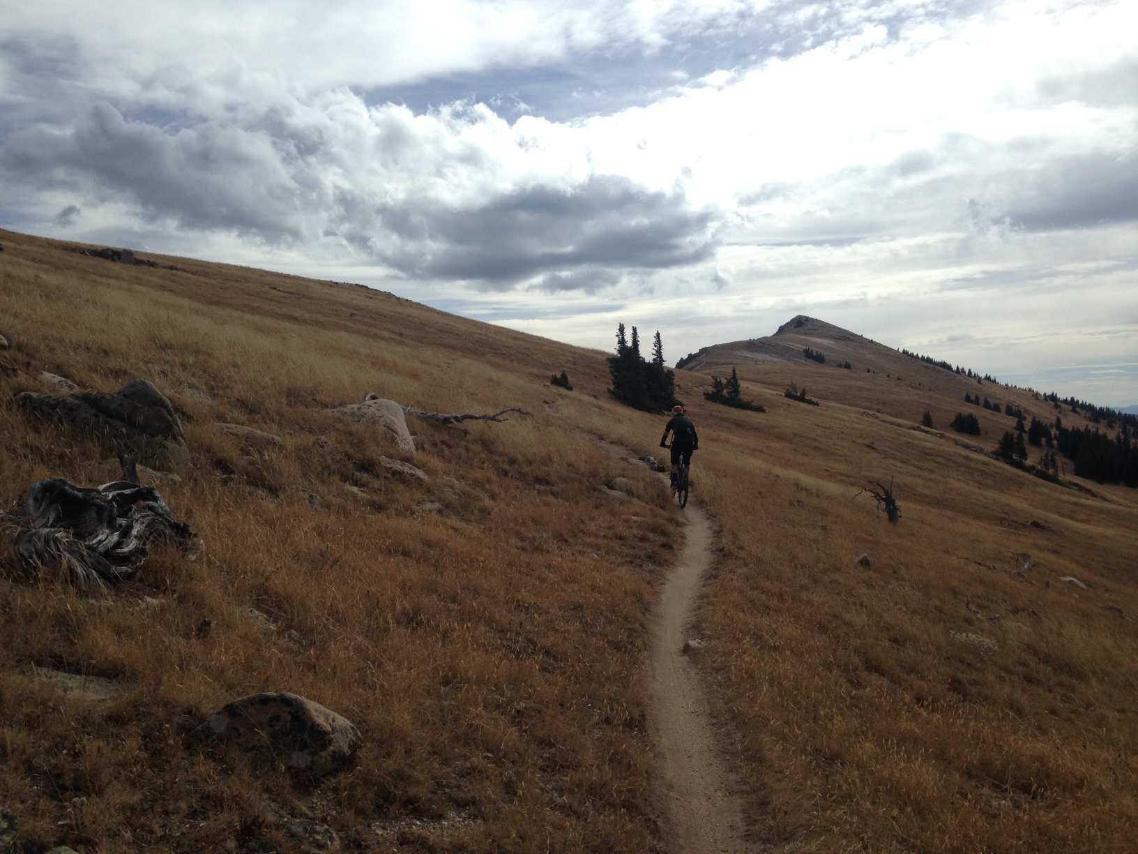 Monarch Crest Colorado Mountain Biking