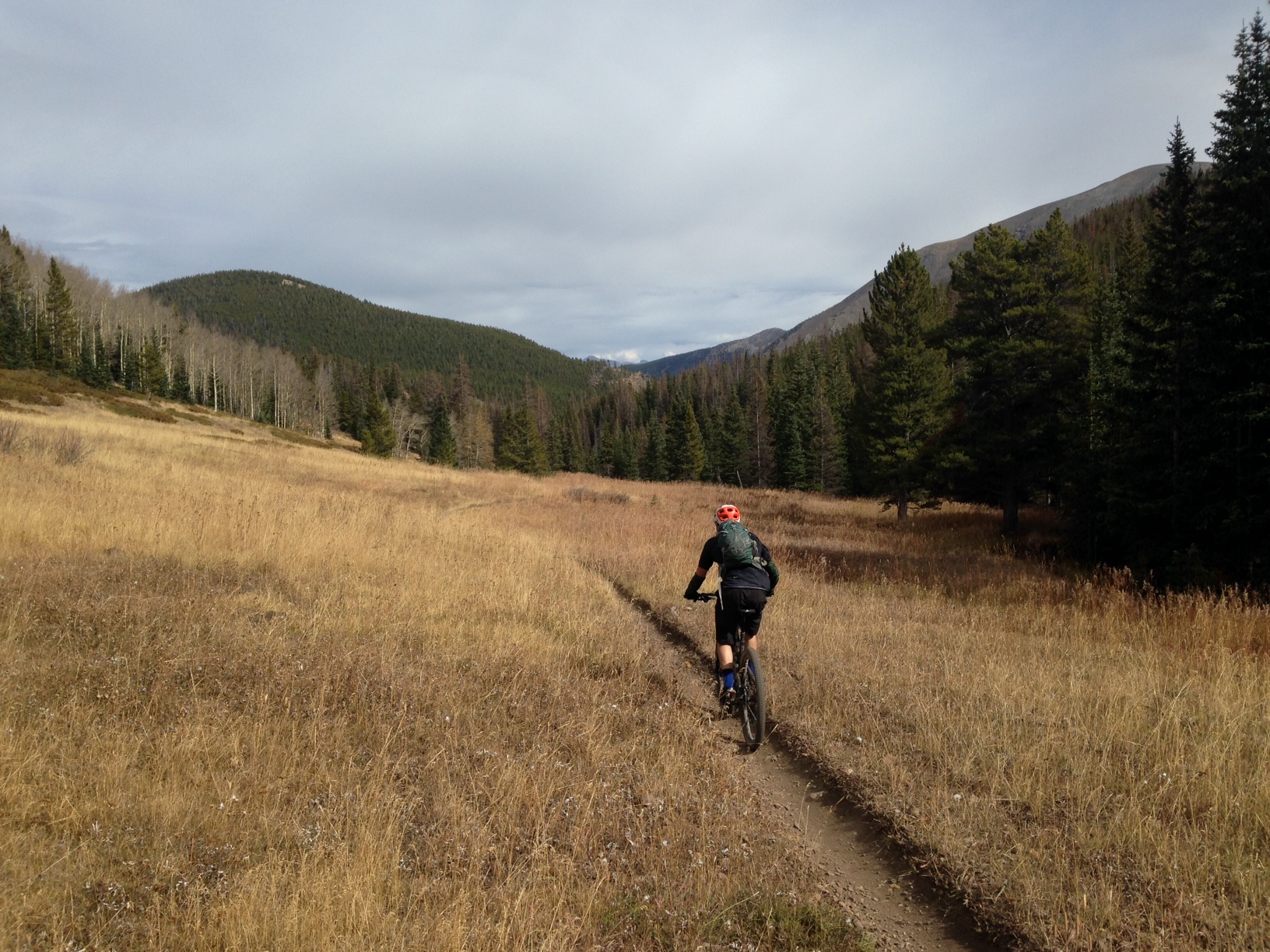 Monarch Crest Colorado Mountain Biking