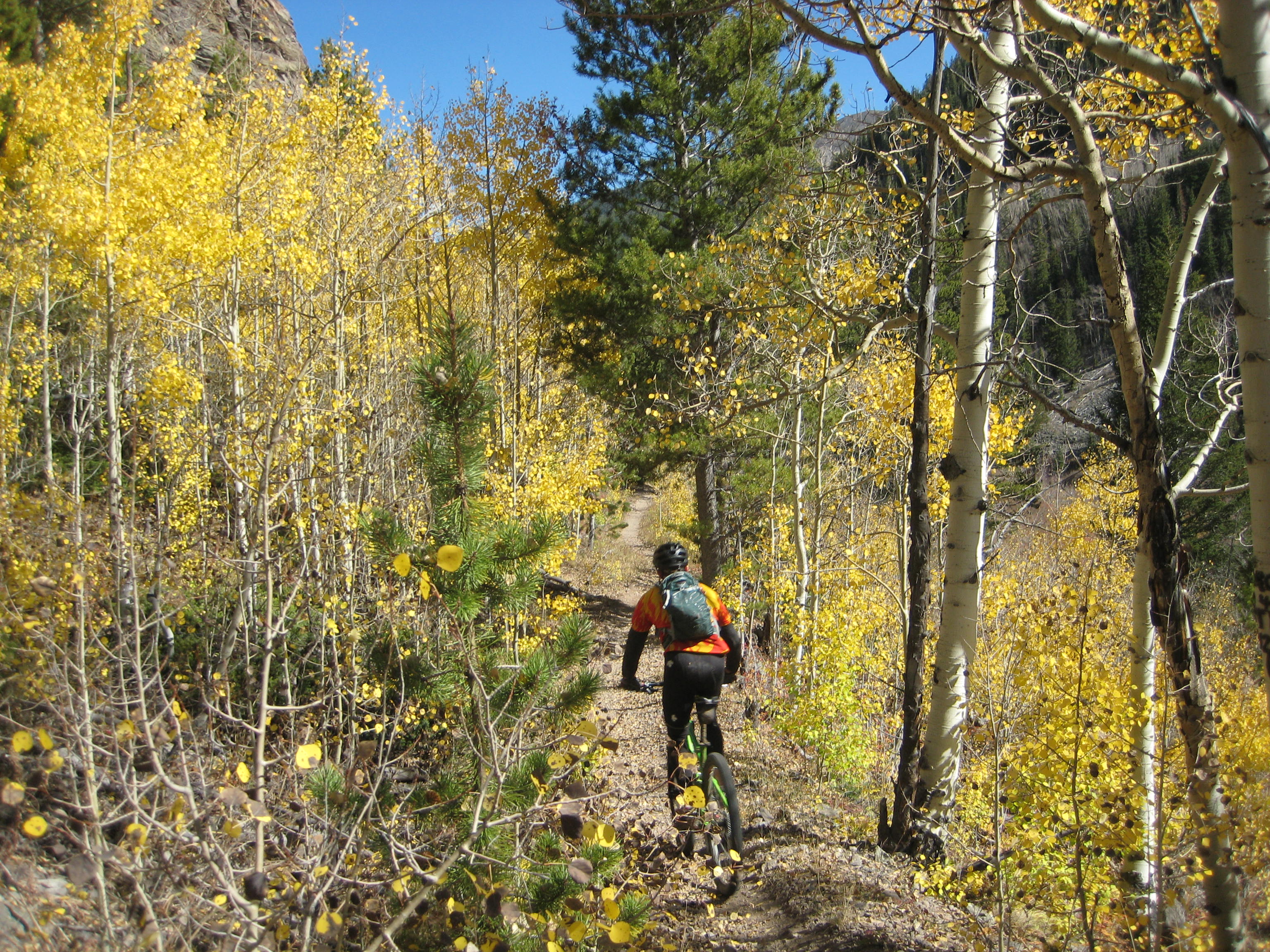 Monarch Crest Colorado Mountain Biking