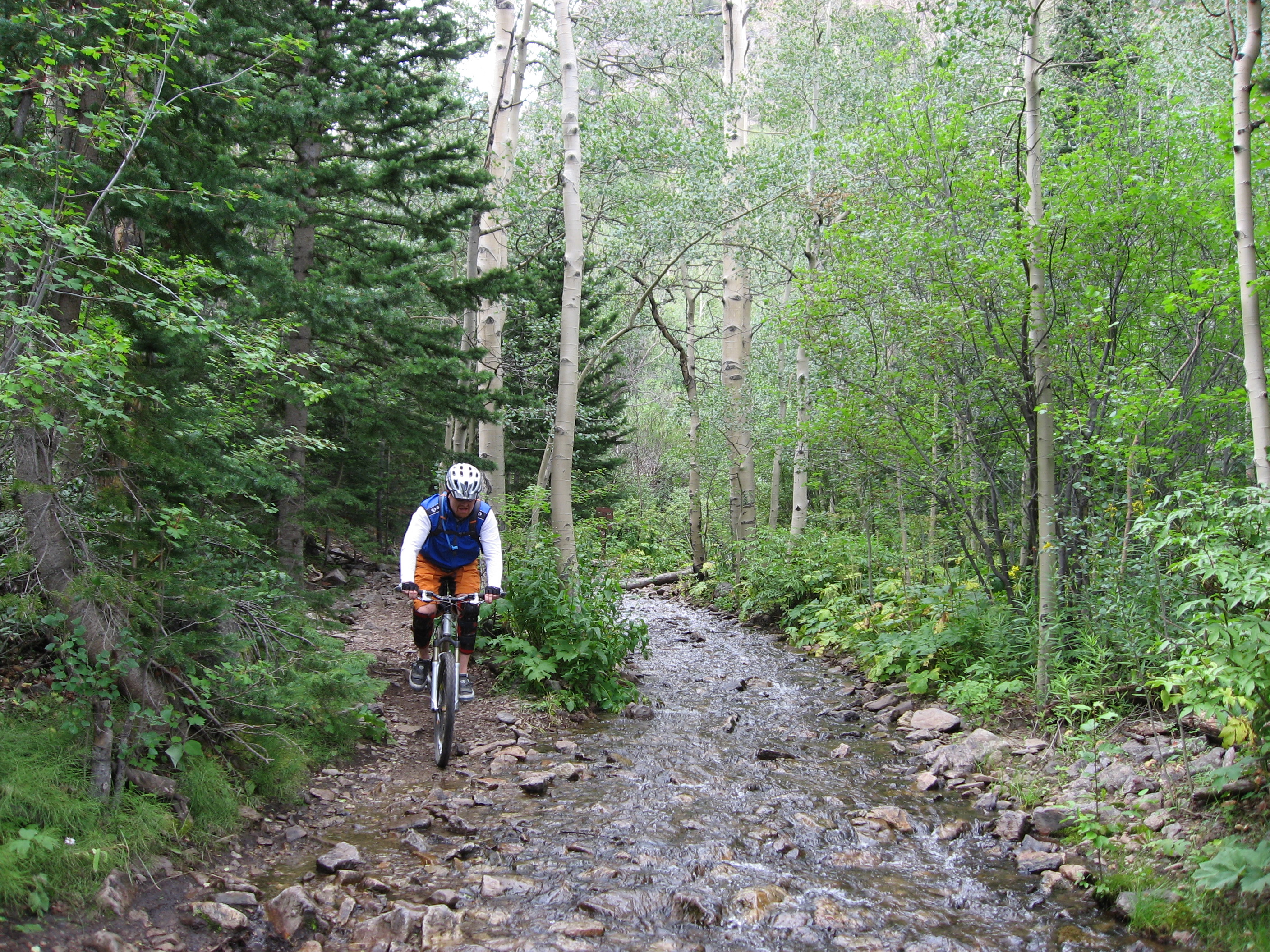 Monarch Crest Colorado Mountain Biking