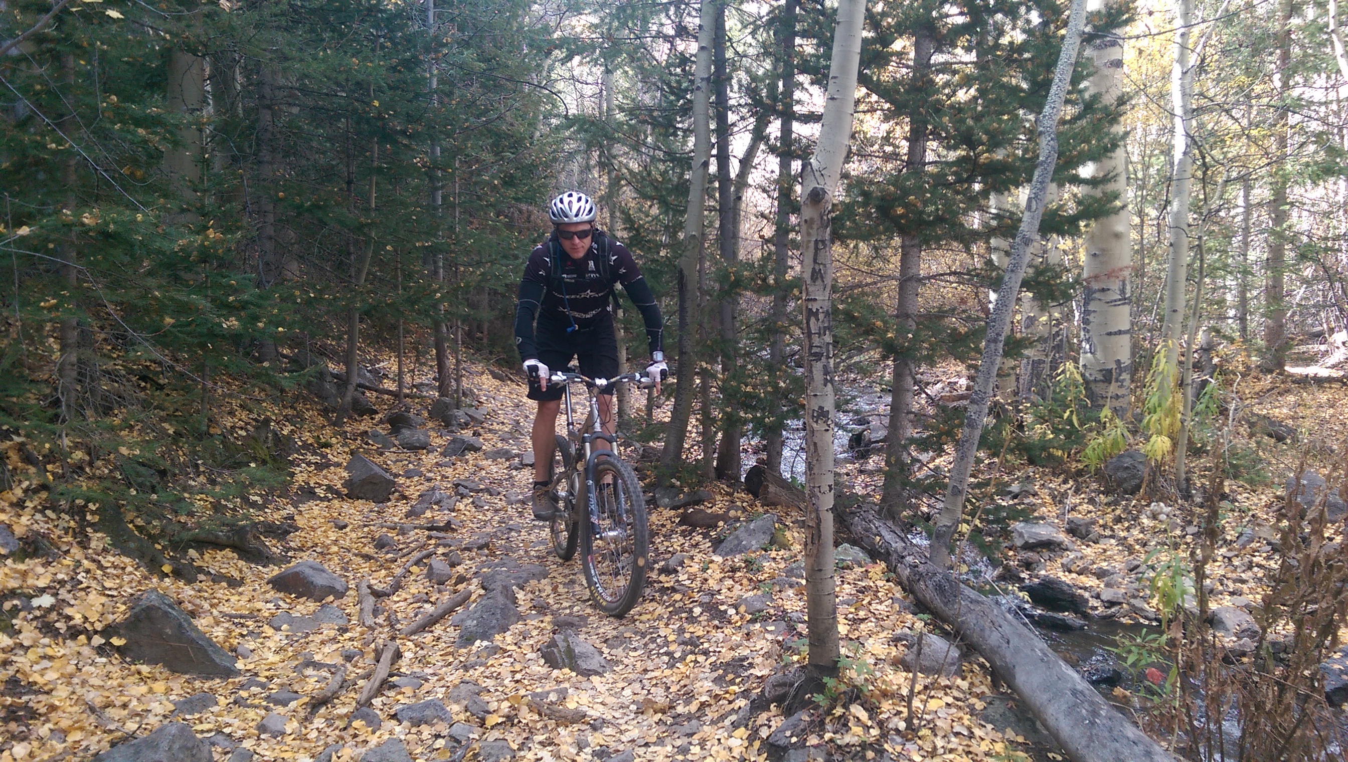 Monarch Crest Colorado Mountain Biking