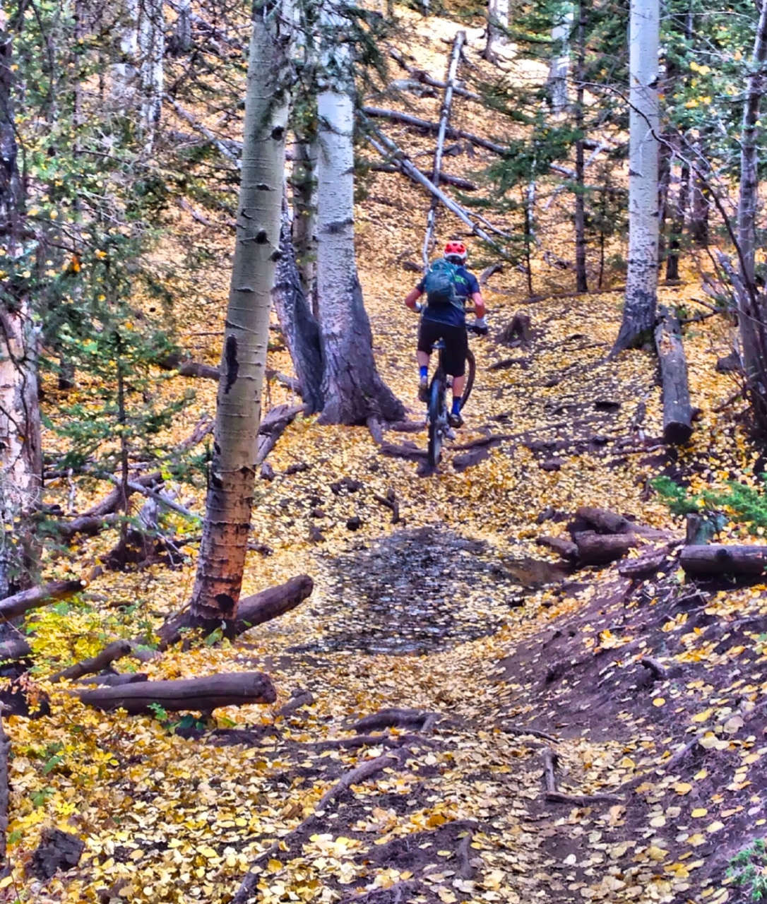Monarch Crest Colorado Mountain Biking