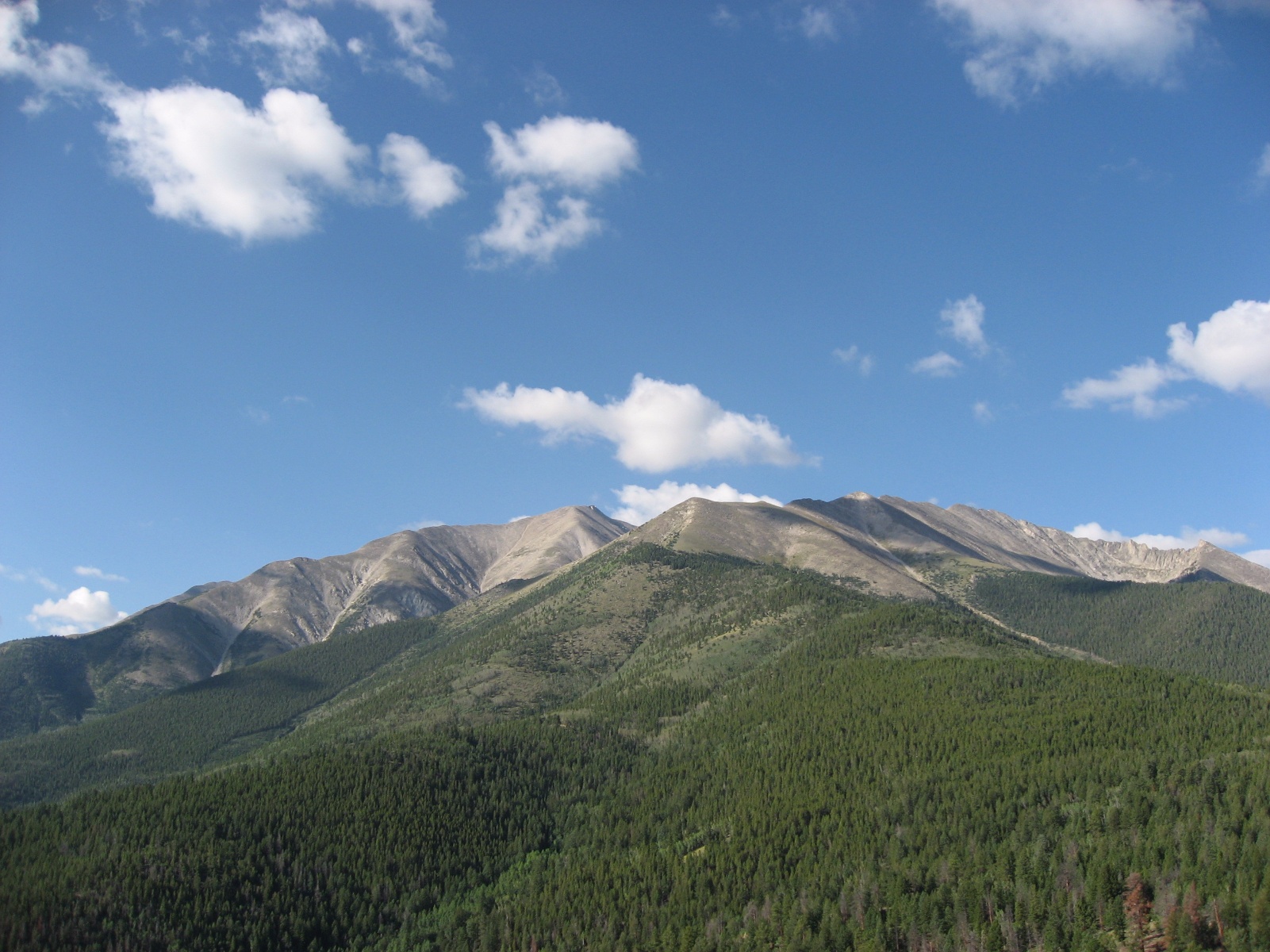 Mount Princeton Colorado Trail Colorado Mountain Biking
