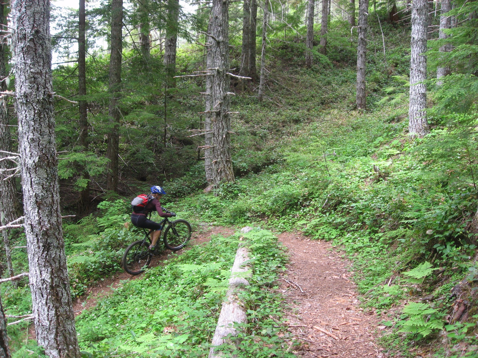 Mount Muller Washington Mountain Biking
