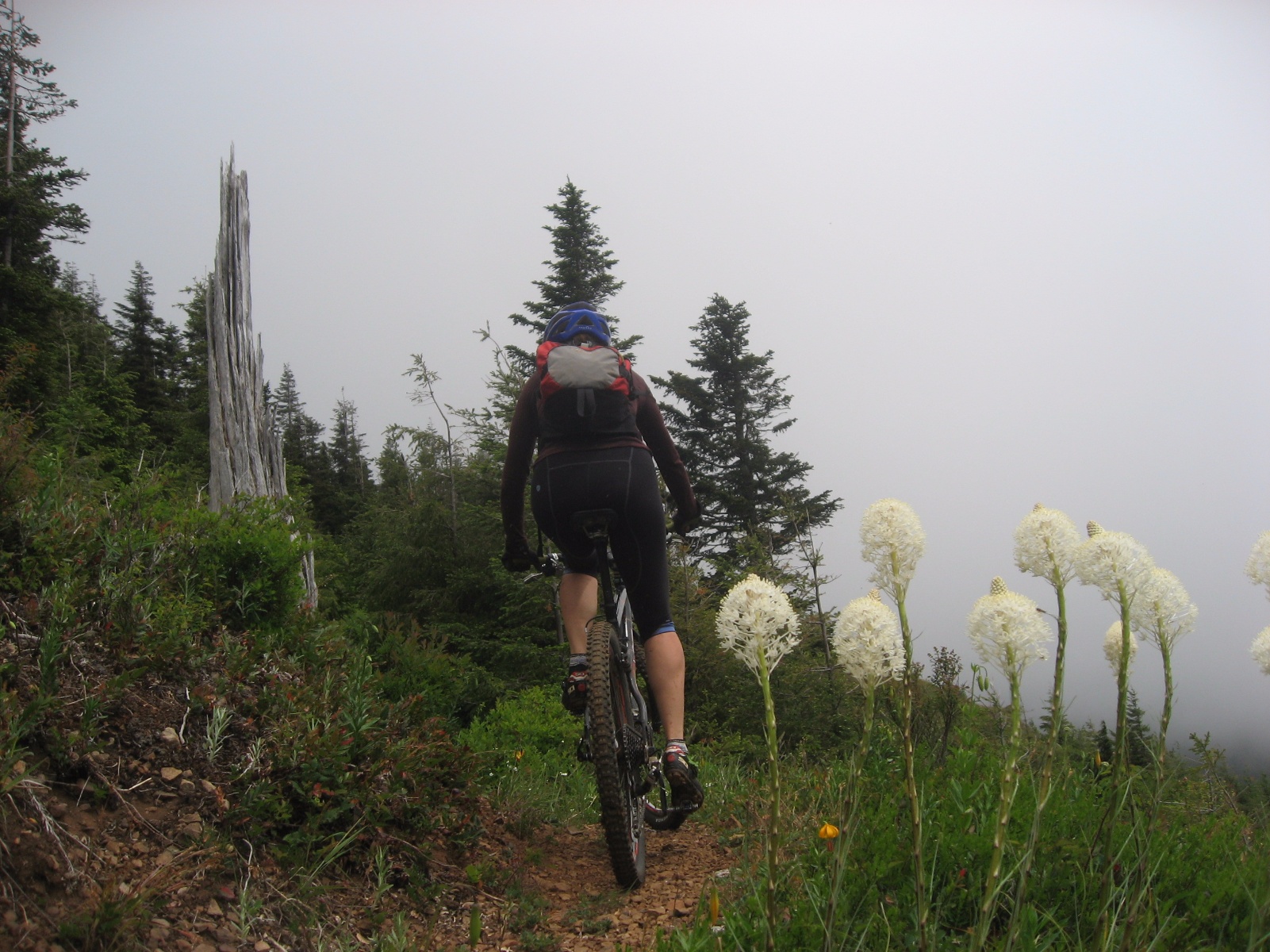 Mount Muller Washington Mountain Biking