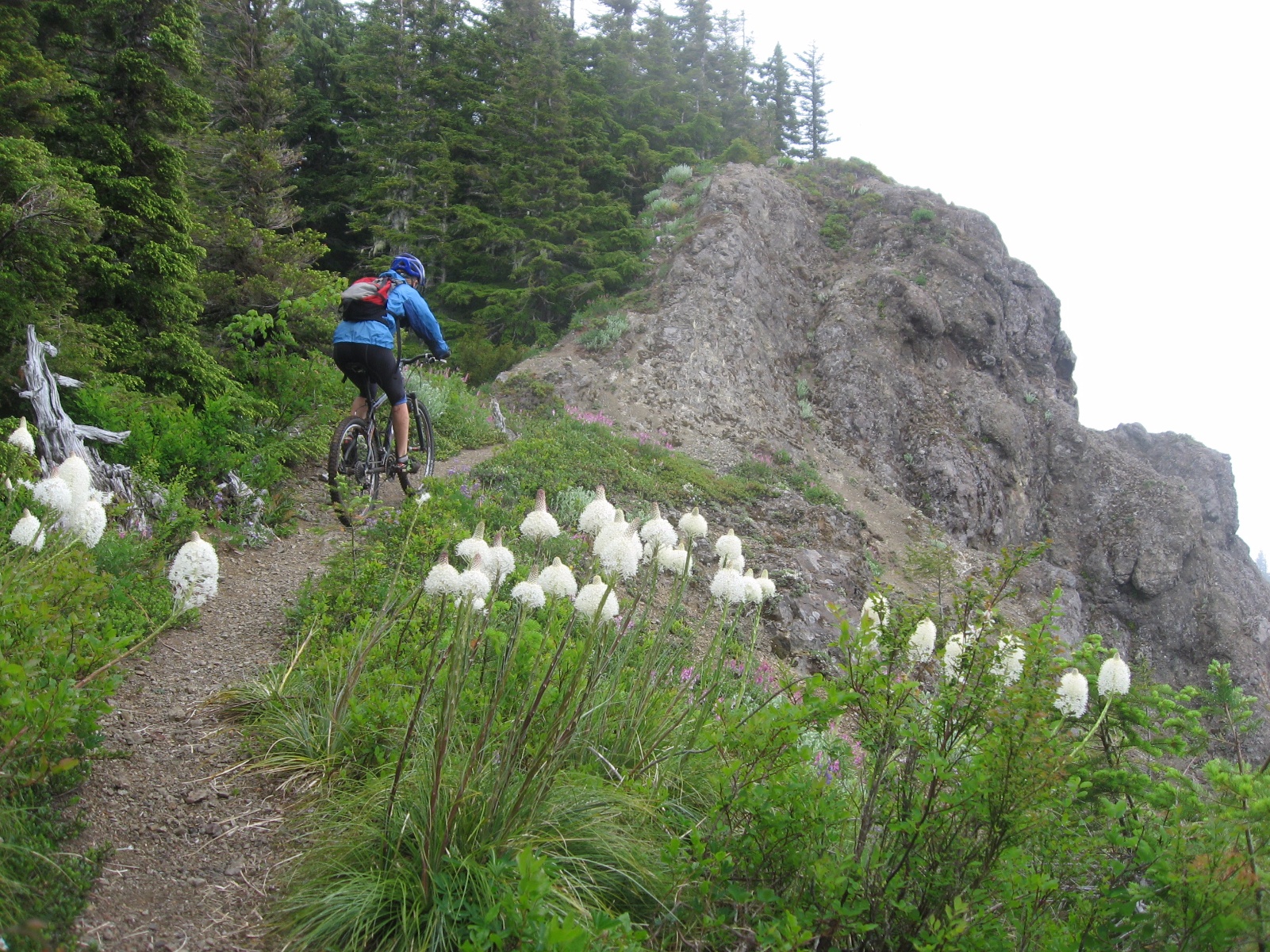 Mount Muller Washington Mountain Biking
