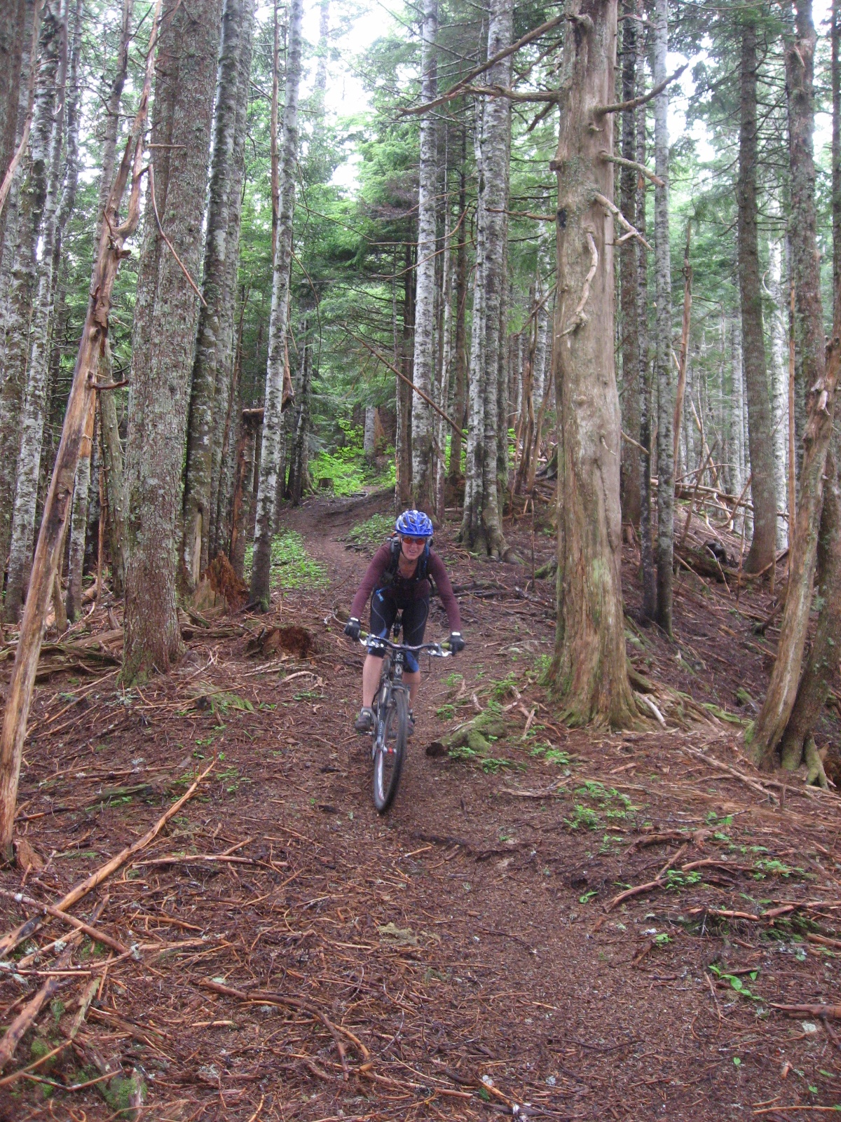 Mount Muller Washington Mountain Biking