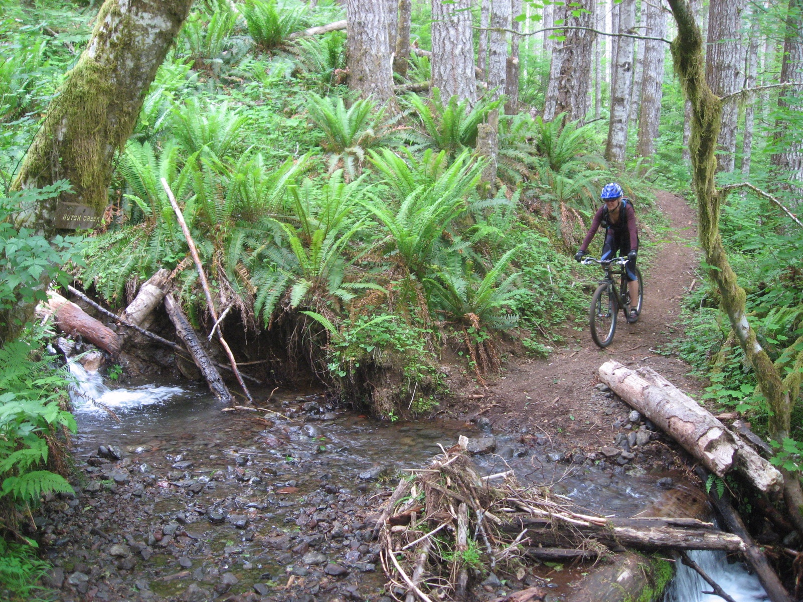 Mount Muller Washington Mountain Biking